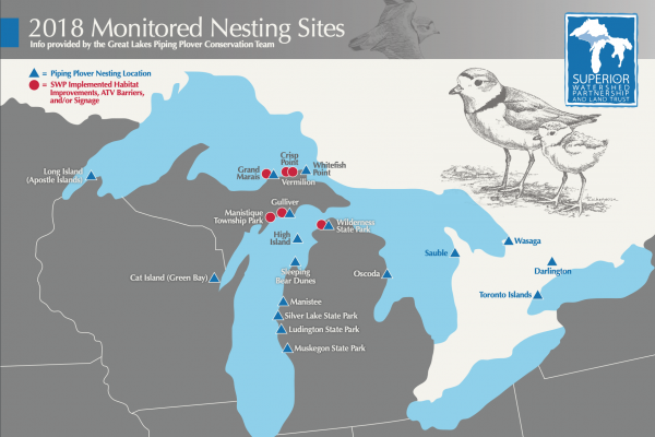 Piping Plover Habitat Protection – Superior Watershed Partnership ...